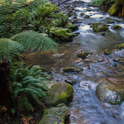 About TRA | Tourism Research Australia